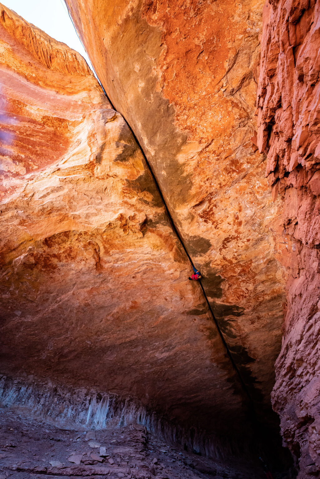 イベント | パタゴニア | Patagonia